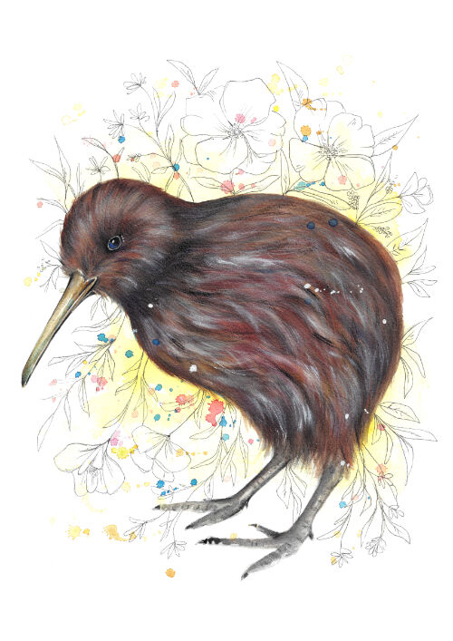 Sketchy Kiwi Bird - birds - FionaClarkeART.co.nz