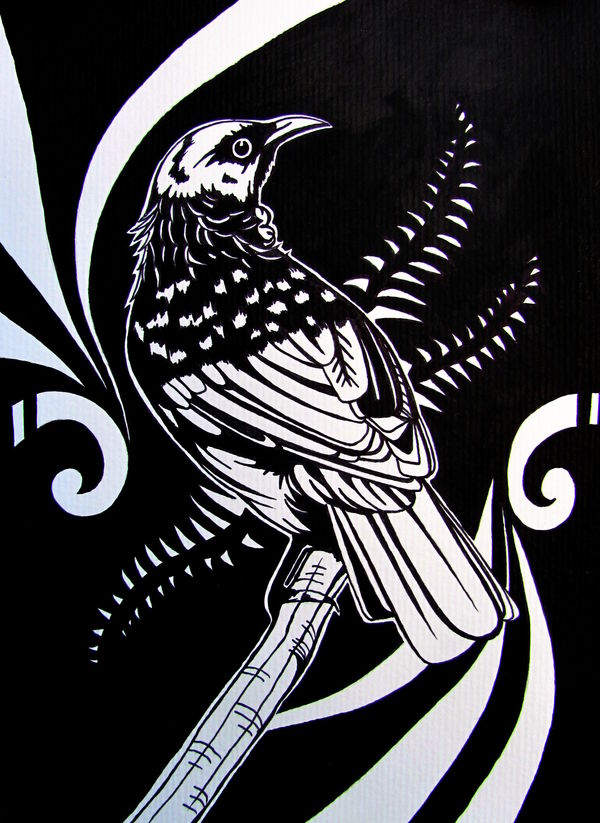 Black and White Tui - archived - FionaClarkeART.co.nz