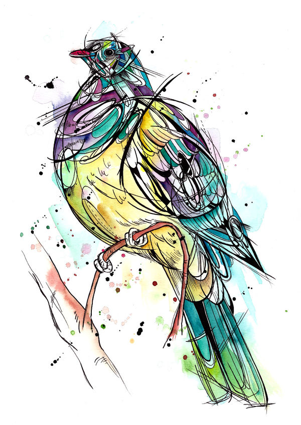 Bold Kereru - birds - FionaClarkeART.co.nz