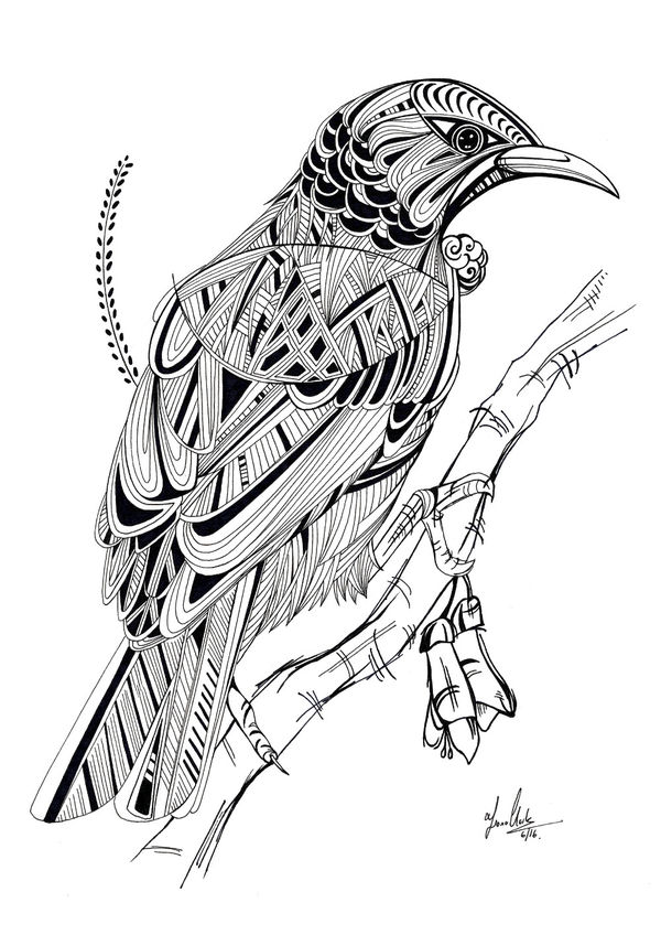 B&W Tui Design - birds - FionaClarkeART.co.nz