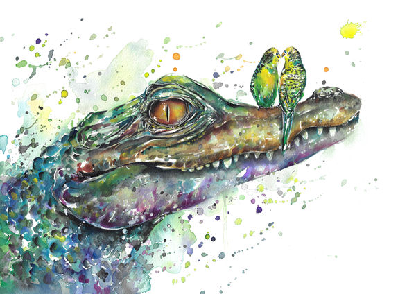 Beautiful Creatures - animals - FionaClarkeART.co.nz