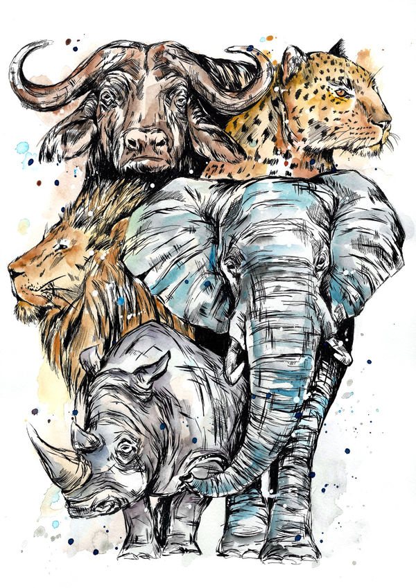The Big 5 - animals - FionaClarkeART.co.nz
