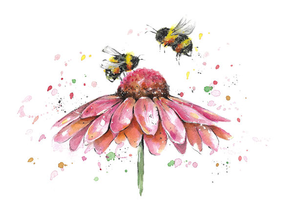 Bumble Bees - plants & insects - FionaClarkeART.co.nz