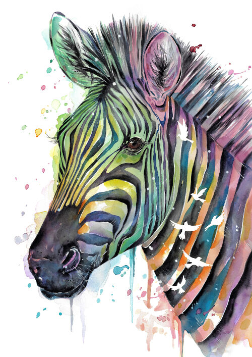 Colourful Zebra - animals - FionaClarkeART.co.nz
