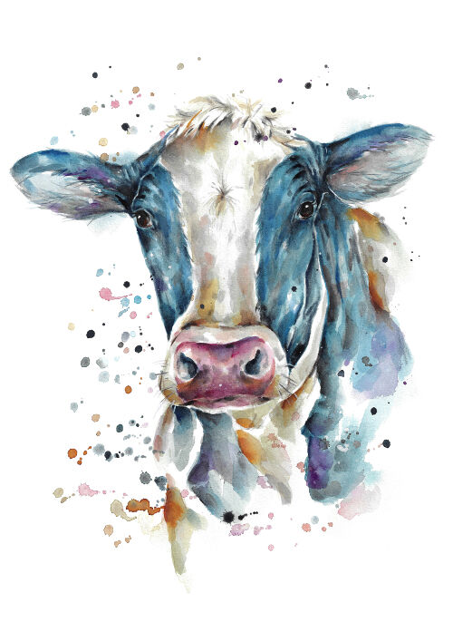 Dairy Cow - animals - FionaClarkeART.co.nz