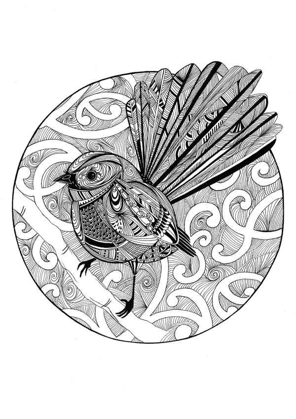 B&W Fantail - birds - FionaClarkeART.co.nz