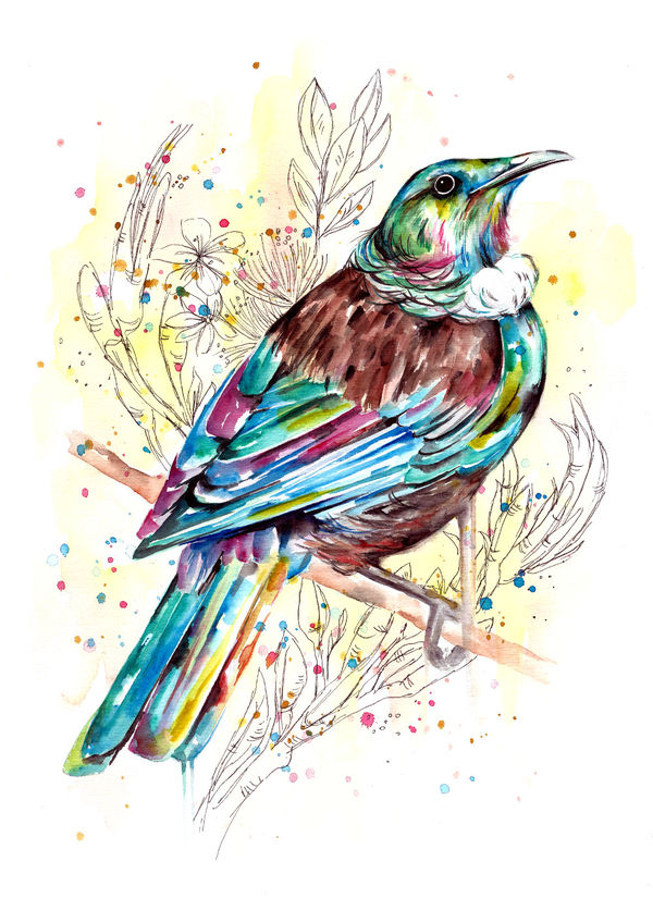 Floral Tui - birds - FionaClarkeART.co.nz