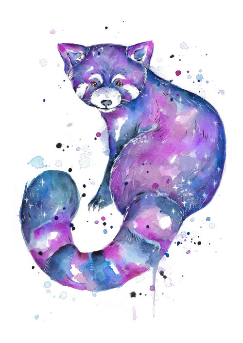Galaxy Red Panda - animals - FionaClarkeART.co.nz