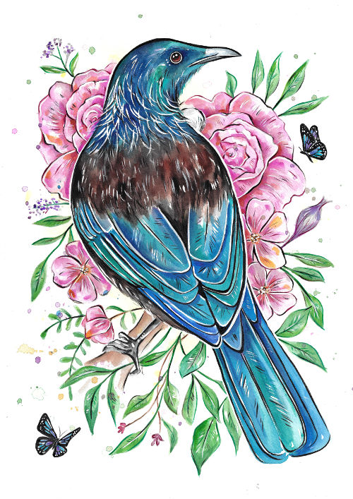 Garden Tui - birds - FionaClarkeART.co.nz