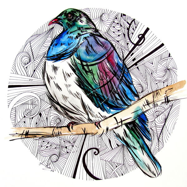 Kereru Zentangle - archived - FionaClarkeART.co.nz