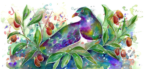Kereru and Karaka Berries - archived - FionaClarkeART.co.nz