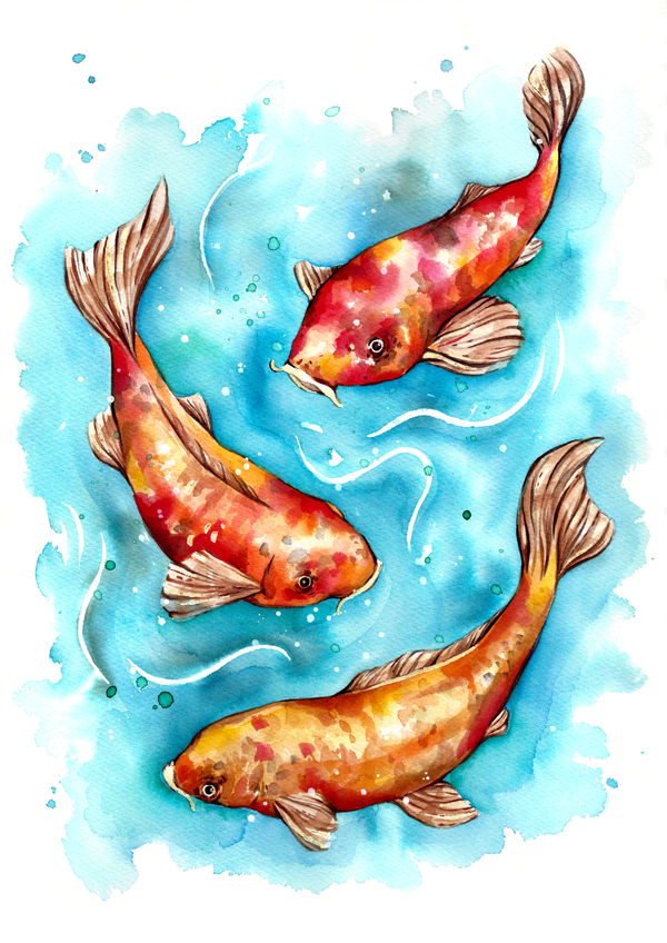 Koi Fish - ocean - FionaClarkeART.co.nz