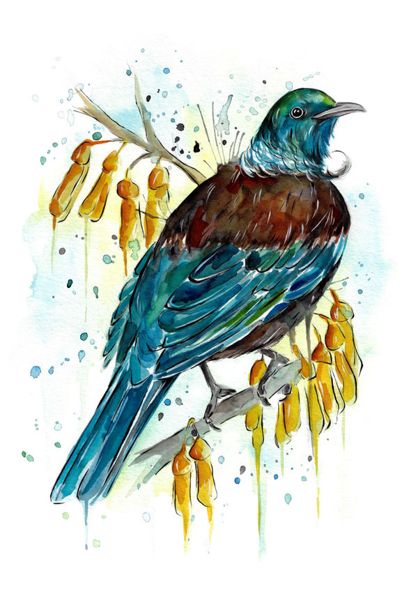 Spring Tui - birds - FionaClarkeART.co.nz