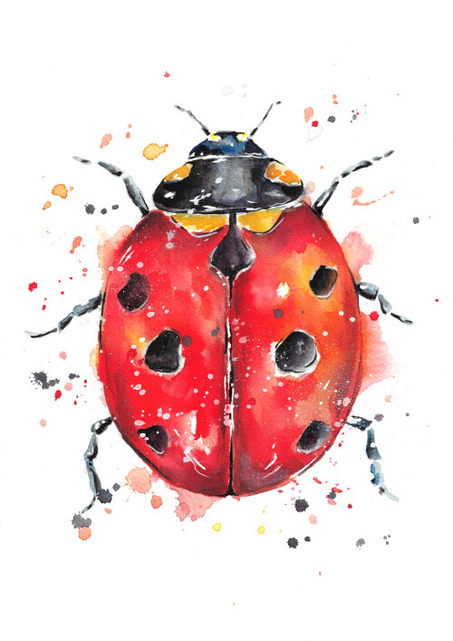 youtube videos - FionaClarkeART.co.nz