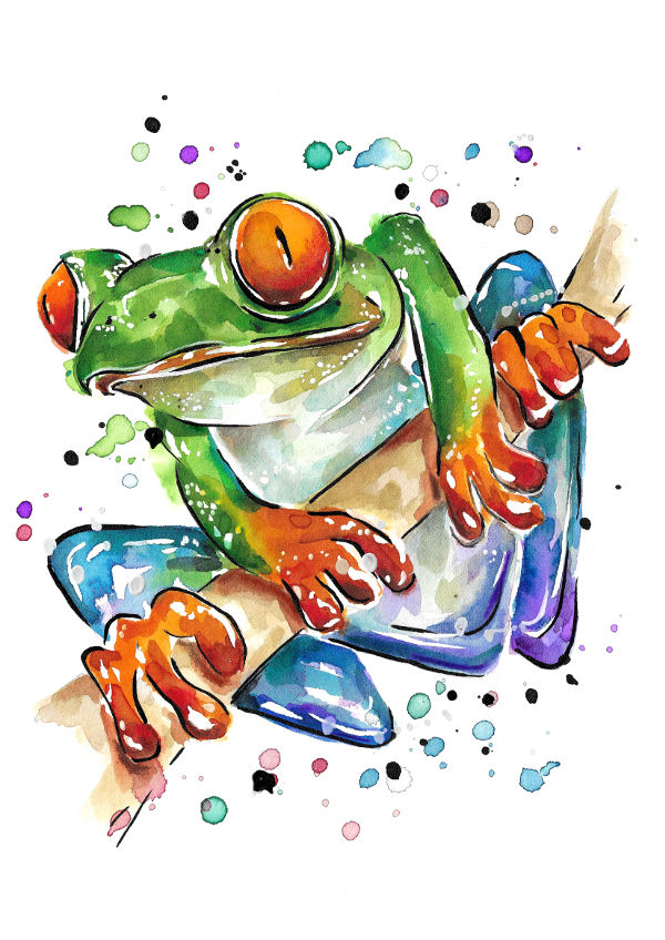 Frog Splash - archived - FionaClarkeART.co.nz