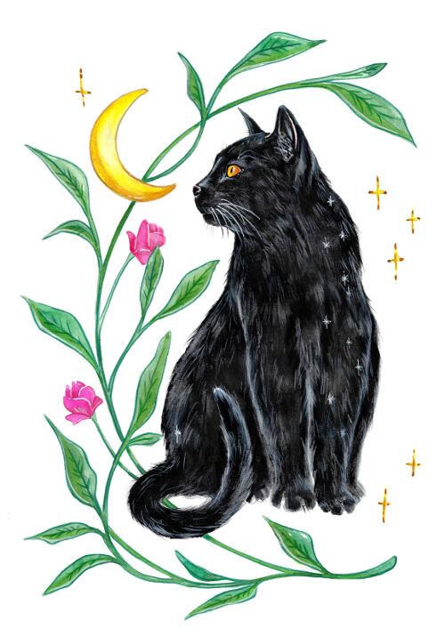 Luna Cat - animals - FionaClarkeART.co.nz