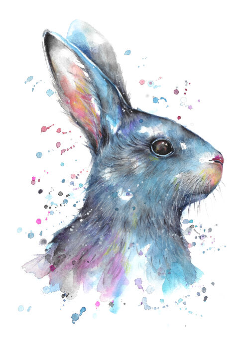 Luna Rabbit - animals - FionaClarkeART.co.nz