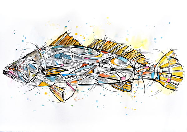 Mulloway Fish - ocean - FionaClarkeART.co.nz