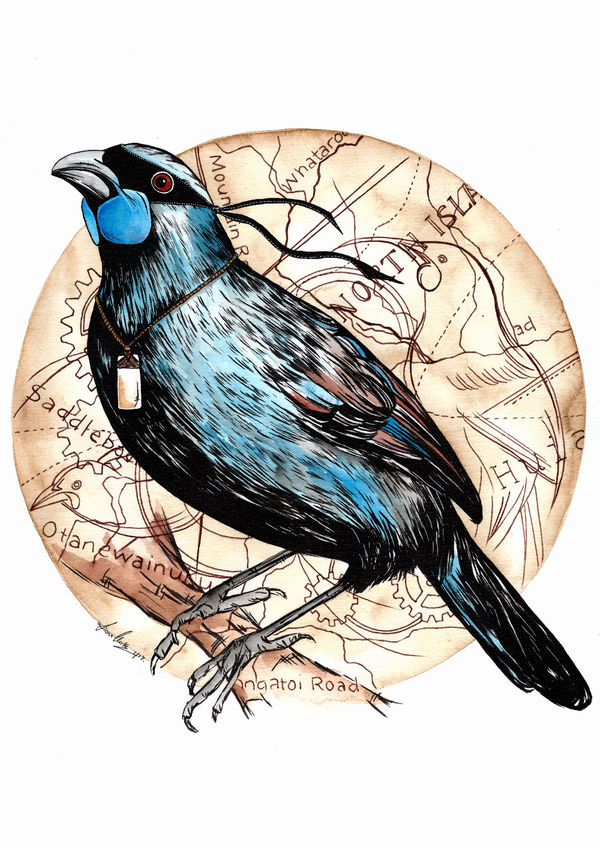 Ninja Kokako - birds - FionaClarkeART.co.nz
