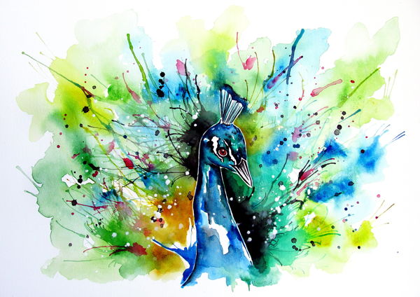 Peacock Splash - archived - FionaClarkeART.co.nz