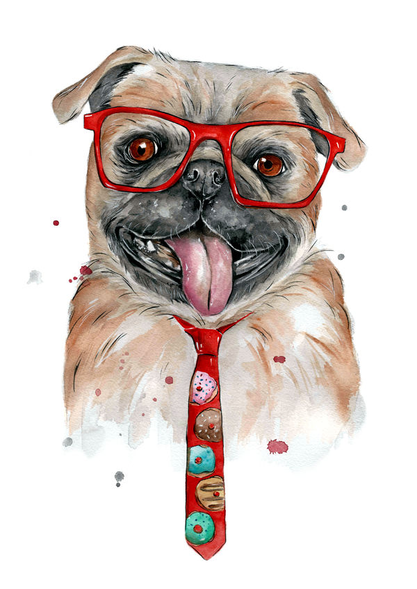 Pug Boss - cute and quirky - FionaClarkeART.co.nz