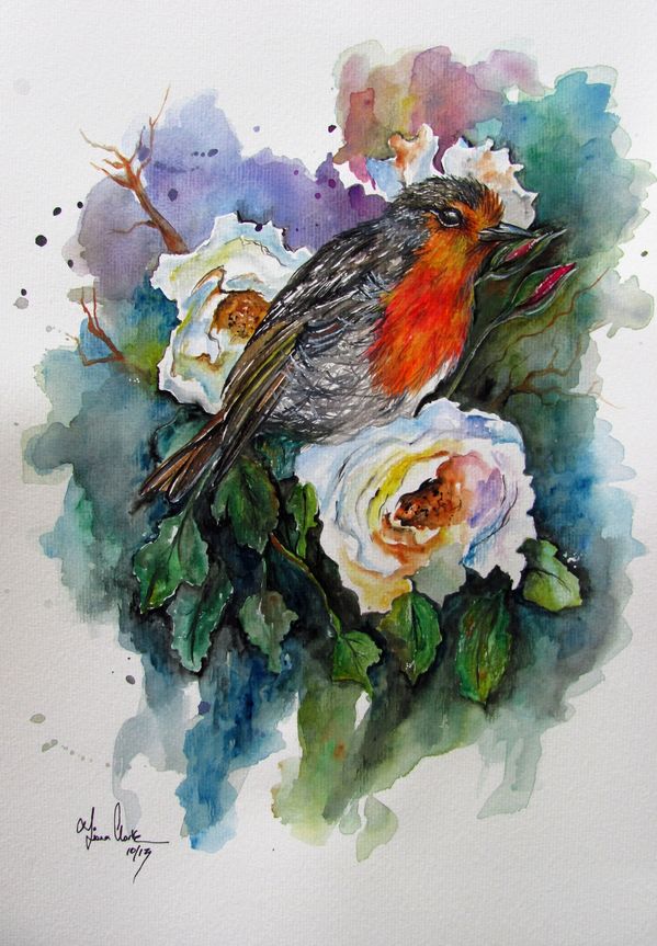 Robin and Roses - archived - FionaClarkeART.co.nz