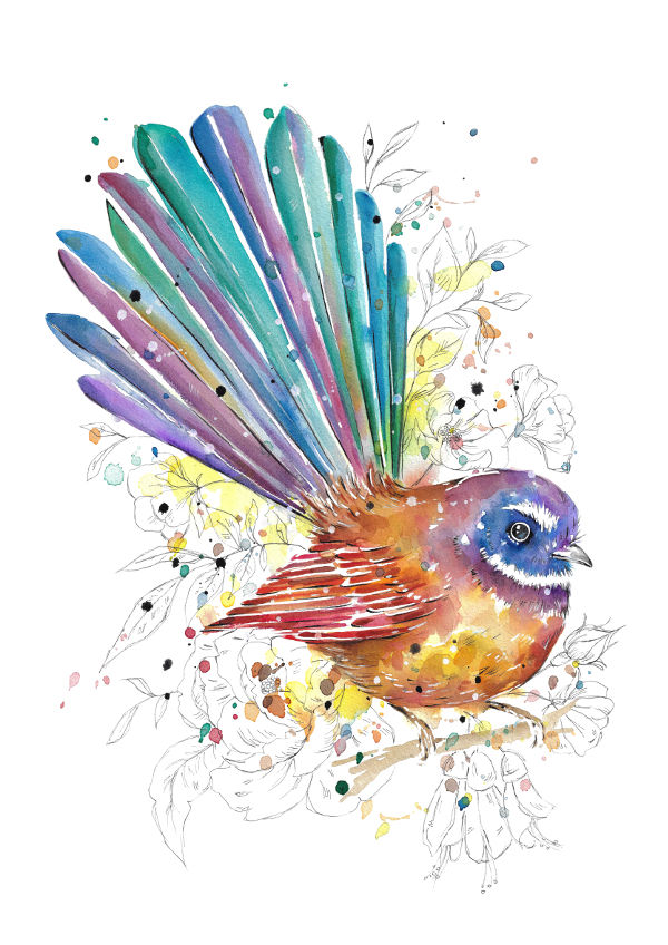 Rainbow Fantail - birds - FionaClarkeART.co.nz