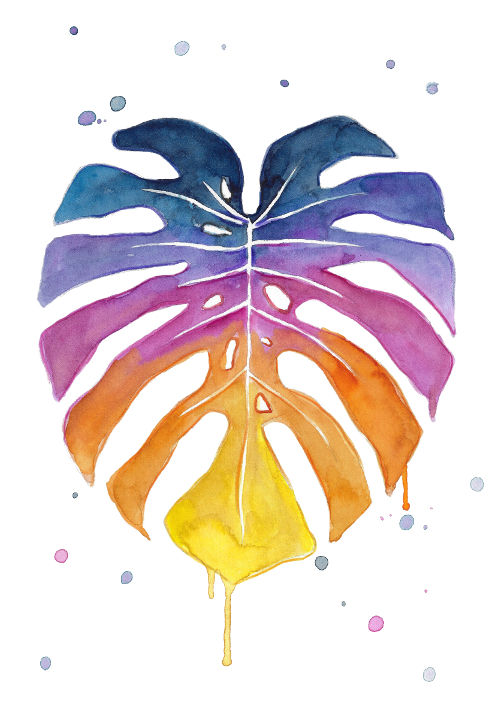 Rainbow Monstera - plants & insects - FionaClarkeART.co.nz