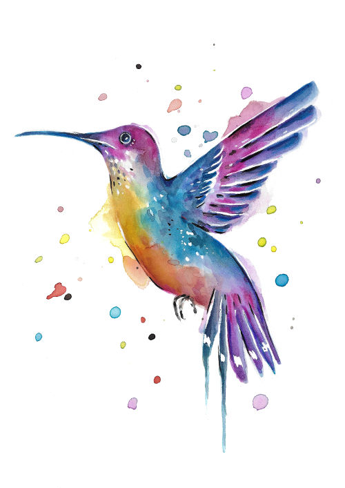 Rainbow Hummingbird - archived - FionaClarkeART.co.nz