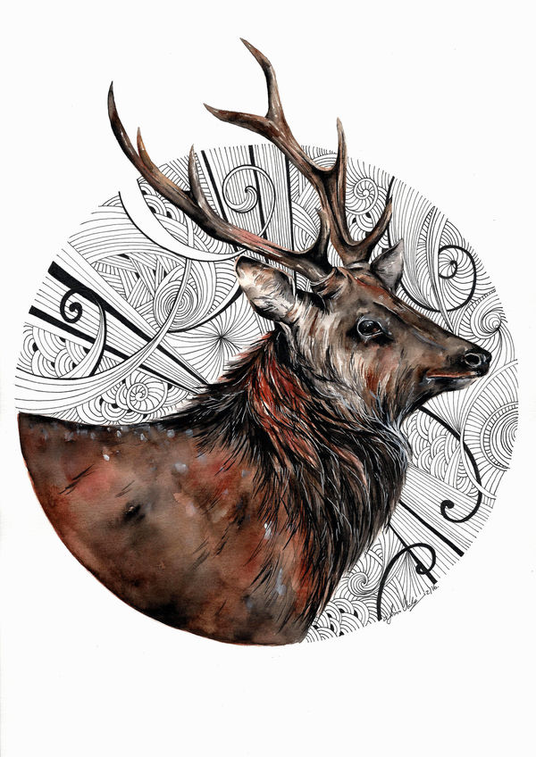 Sika Stag - birds/animals - FionaClarkeART.co.nz