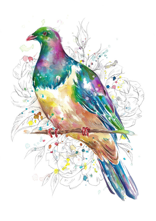 Sketchy Kereru - birds - FionaClarkeART.co.nz