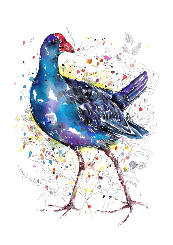 Sketchy Pukeko - birds - FionaClarkeART.co.nz