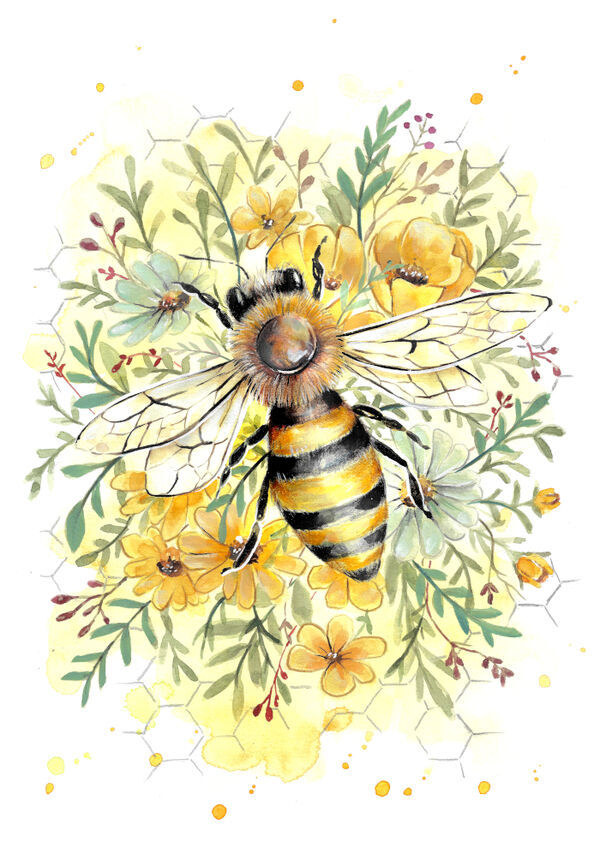 Golden Summer - plants & insects - FionaClarkeART.co.nz