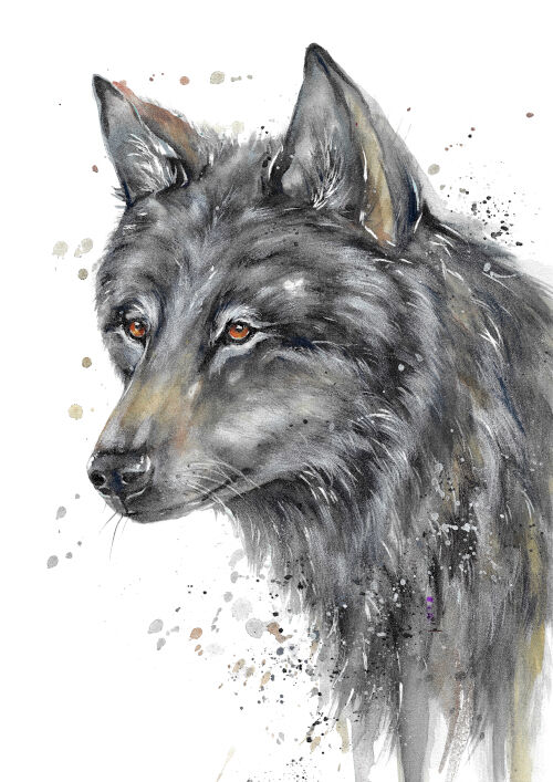 Midnight Wolf - animals - FionaClarkeART.co.nz