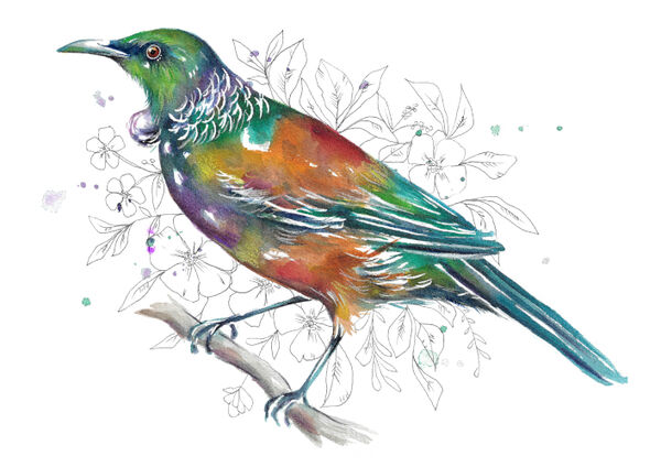 Rainbow Native Tui - birds - FionaClarkeART.co.nz