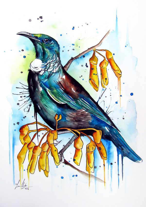 Kowhai Tui - birds - FionaClarkeART.co.nz