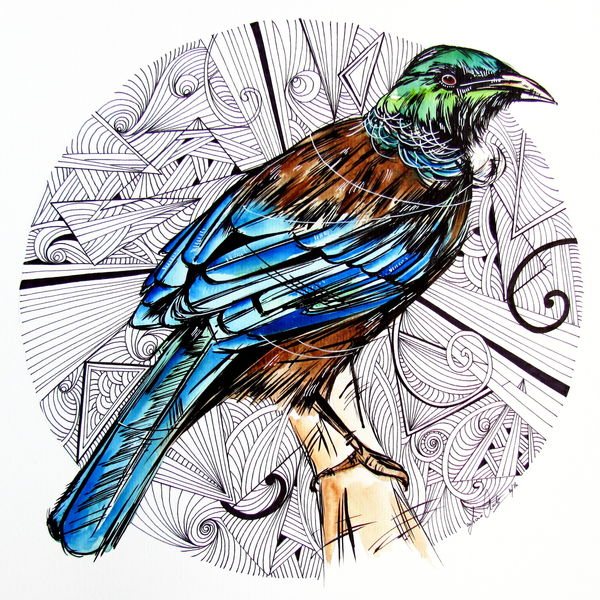 Tui Zentangle - archived - FionaClarkeART.co.nz