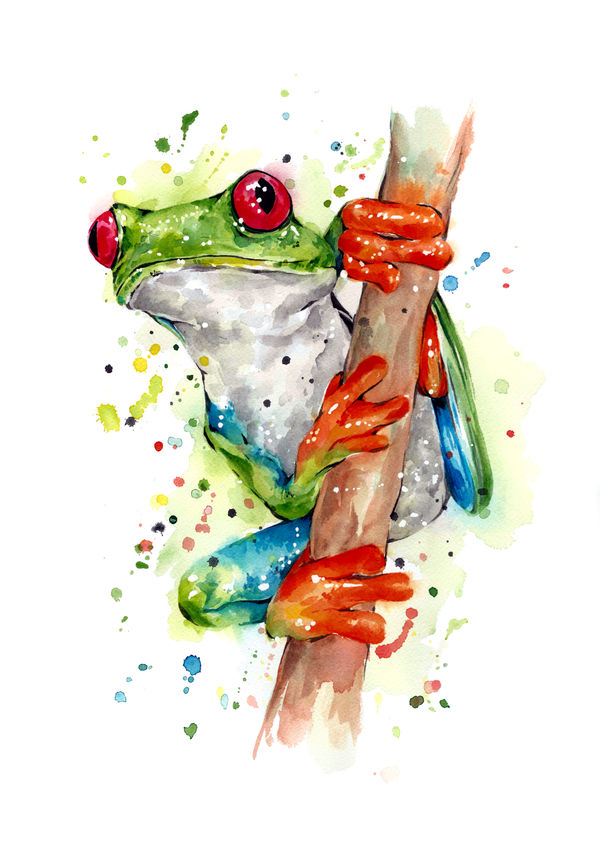 Tree Frog - animals - FionaClarkeART.co.nz