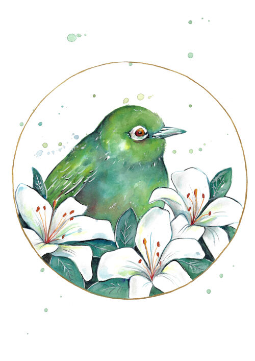 Waxeye Loop - birds - FionaClarkeART.co.nz