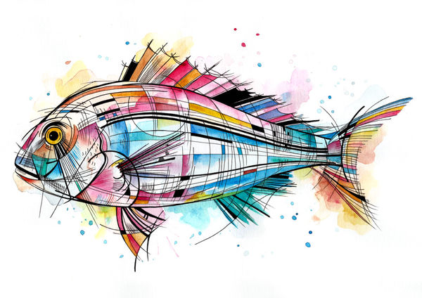 Inked Snapper - ocean - FionaClarkeART.co.nz