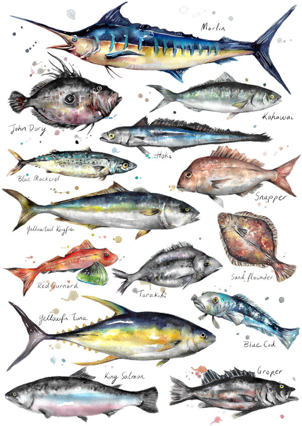 Fish Poster - ocean - FionaClarkeART.co.nz