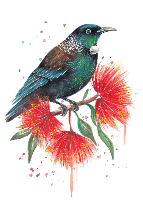 Full Bloom Tui - birds - FionaClarkeART.co.nz