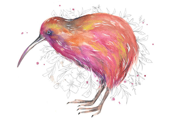 Colourful Native Kiwi - birds - FionaClarkeART.co.nz